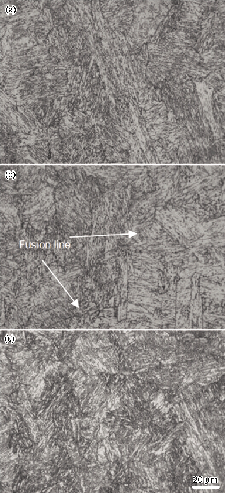 FV520(B)马氏体不锈钢匹配自保护药芯焊丝的研制*